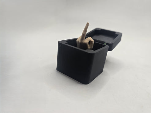 Middle Finger Surprise – No Hands 3d
