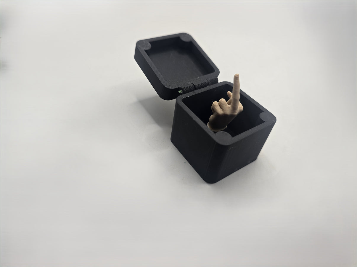 Middle Finger Surprise – No Hands 3d